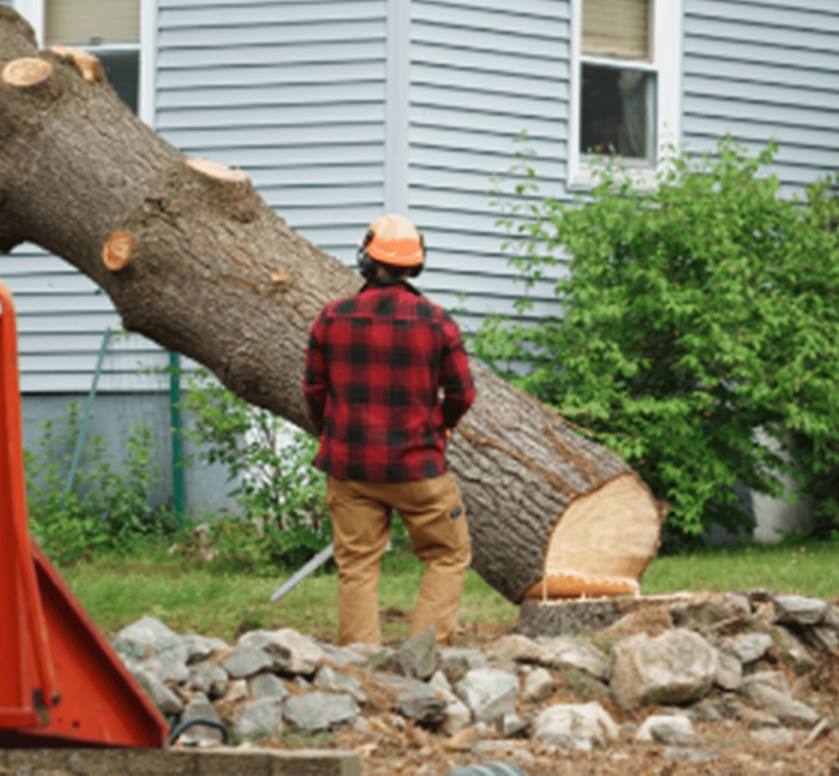 Tree Removal - Hawthorne, NJ | Green Star Tree Experts